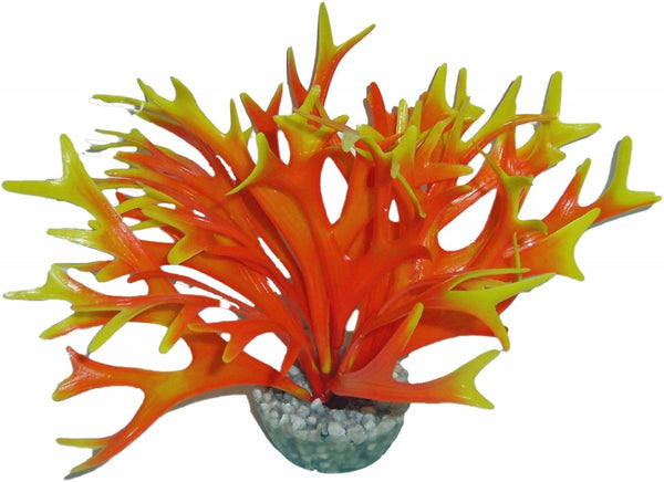 MASSIF ALGUE PM ORANGE – AnjouCréa